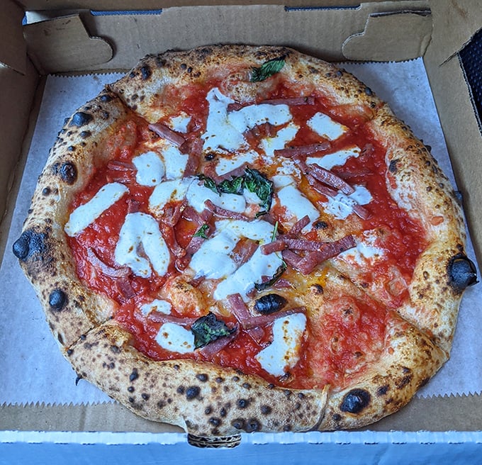 Behold the pizza that launches a thousand road trips—charred perfection, molten cheese, and that crust with its beautiful leopard spots.