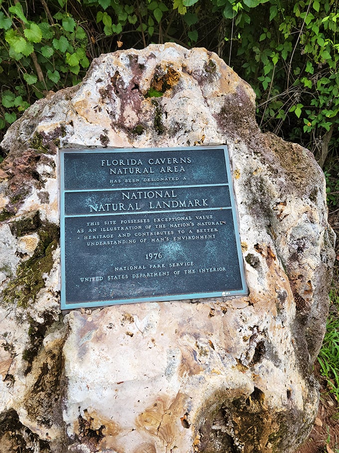 A testament to natural significance carved in stone. This National Natural Landmark designation confirms what visitors already know—this place is special.