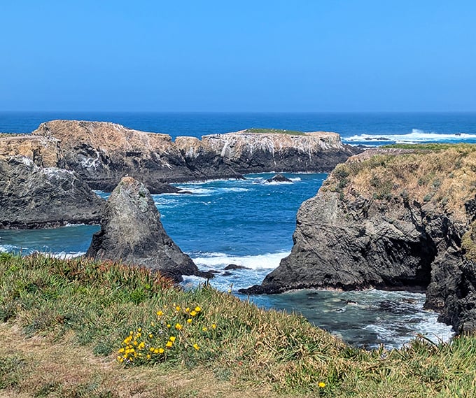 Nature's sculpture garden where the land surrenders to the sea. The headlands offer front-row seats to the Pacific's greatest show.