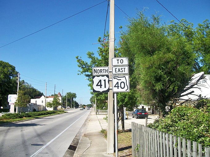 Where highways 41 and 40 meet, small-town Florida unfolds with picket fences and zero traffic jams—a refreshing change from interstate madness.
