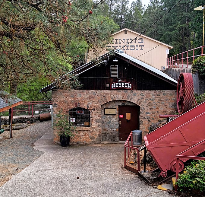 The Mining Museum doesn't just preserve history – it celebrates the gritty determination that transformed California forever.