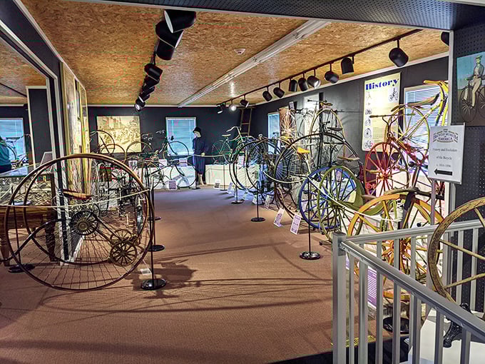 Early bicycles line the museum's pathway, each one telling the story of our two-wheeled evolution. Those massive front wheels weren't just for show—they were engineering solutions!