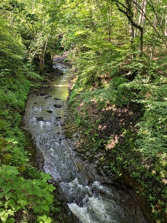 Nature's own masterpiece: the Little Miami River carves through limestone, creating a serene pathway that's been working on its design for millennia.