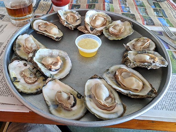 These plump, glistening oysters aren't just seafood—they're time capsules of Delaware Bay flavor, served with a splash of sunshine.