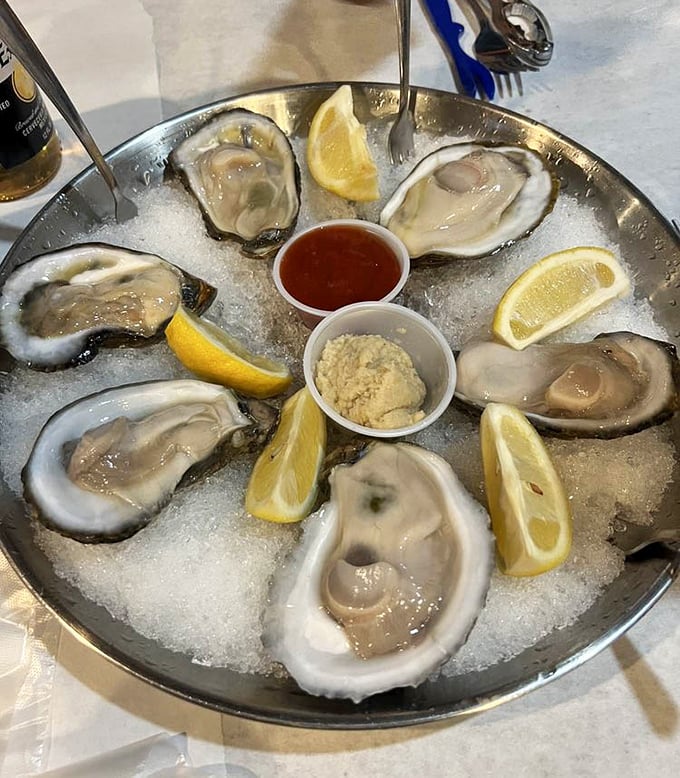 Fresh oysters on ice—nature's perfect appetizer. These briny jewels need nothing more than a squeeze of lemon and good company.