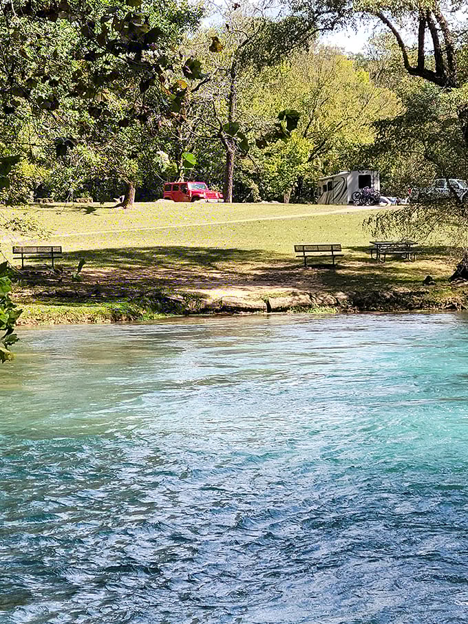 Crystal-clear waters of the Current River invite you to dip your toes or launch your canoe. This isn't just water – it's liquid serenity.