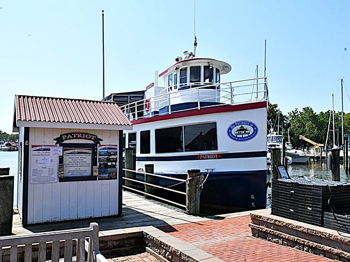 The Patriot cruise boat awaits its next adventure, promising water-level views that turn casual tourists into amateur photographers within minutes.