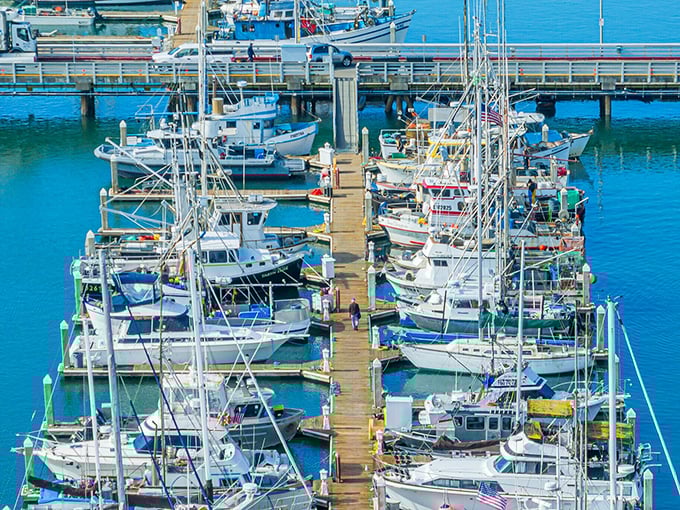 Wooden docks lined with fishing vessels tell the real story of coastal living—where your dinner was probably swimming just hours earlier.
