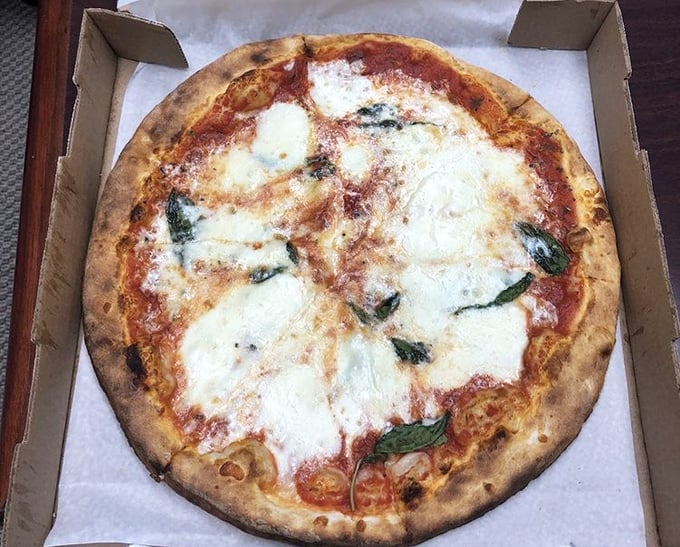 Pizza nirvana achieved! The perfect char on that crust, the melty cheese islands, and those fresh basil leaves—this isn't just food, it's edible art with attitude.