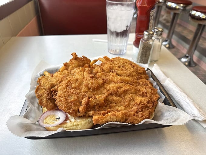Behold the legendary pork tenderloin—a golden-fried masterpiece so massive it makes the bun look like it's playing a supporting role.