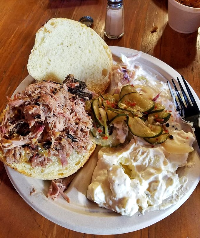 Pulled pork perfection meets potato salad paradise. That sandwich isn't just lunch; it's a life-affirming moment between two pieces of bread.