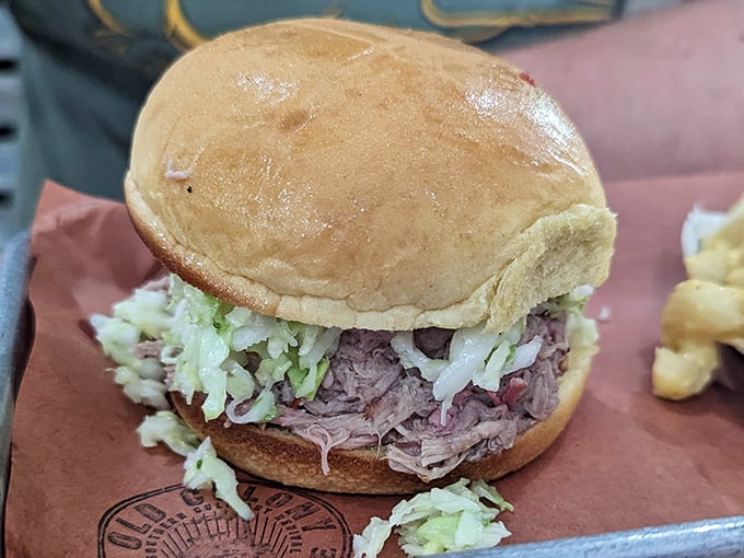 Behold the pulled pork masterpiece that's causing all the fuss – tender, juicy perfection nestled in a perfect bun.