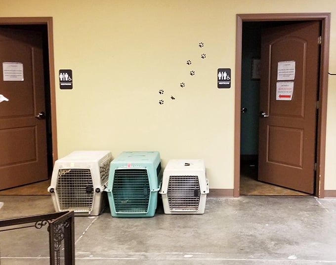 Even the restroom area shows the store's commitment to its mission with playful paw prints. Those pet carriers aren't just decor—they're part of the store's purpose.