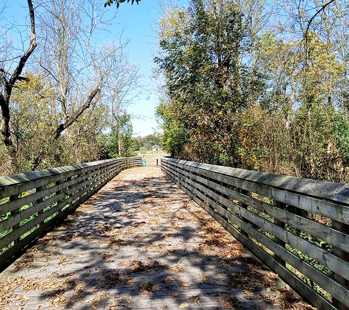 Nature reclaims its edges along this peaceful trail, where fallen leaves create a golden carpet guiding visitors toward adventures beyond the wooden planks.