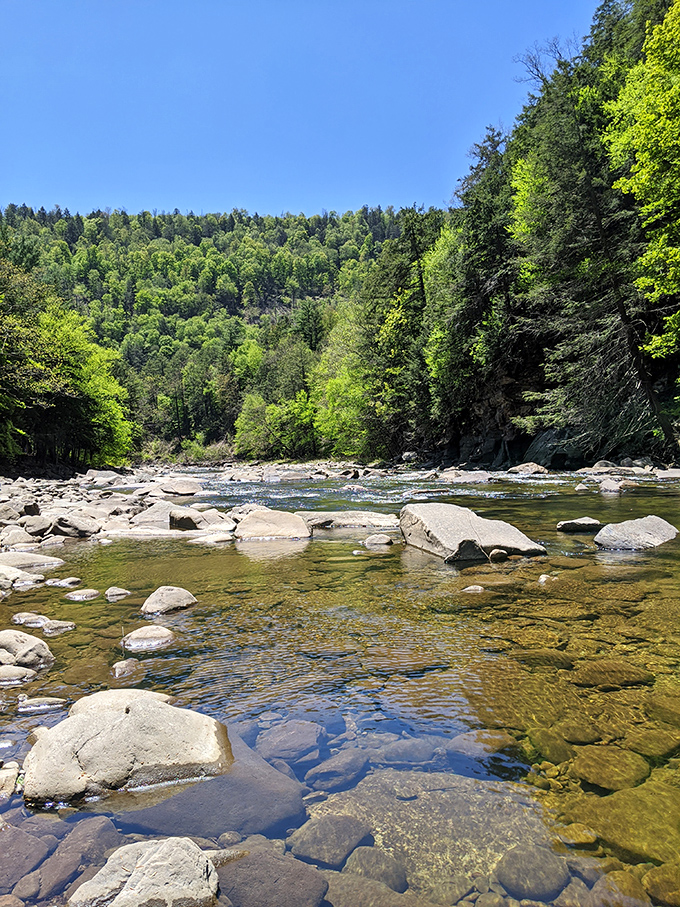 Crystal clear waters reveal every pebble beneath the surface, like nature's own gemstone display case stretching toward the forested horizon. 