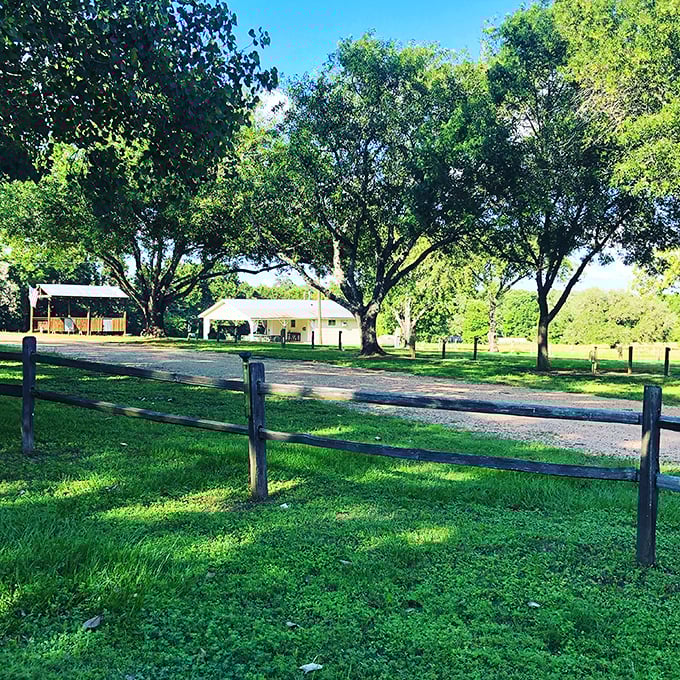Sprawling oak trees provide natural shade for this pastoral scene, where Texas countryside meets small-town hospitality.