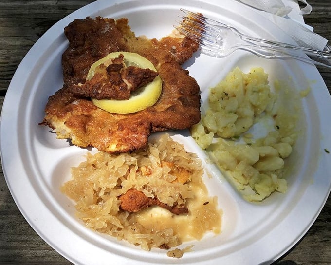 The star of the show! This golden-brown schnitzel with potato salad and sauerkraut is the kind of plate that makes you question why you'd eat anything else.