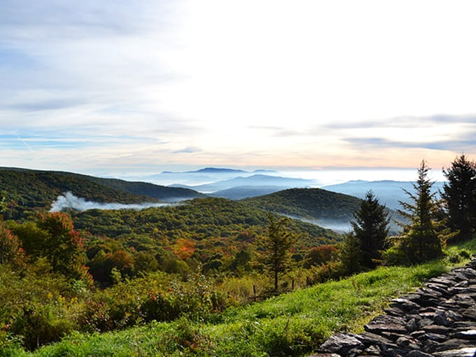 Morning fog blankets the valleys like nature's cotton candy, while sunlight gilds the mountaintops. This is Virginia's version of walking above the clouds.