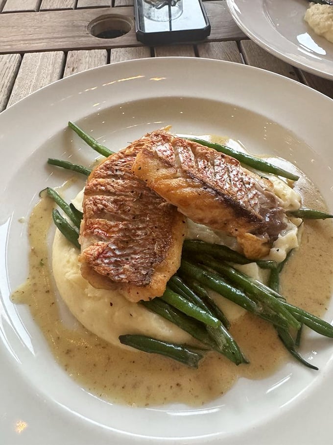 Perfectly seared snapper resting on creamy grits – this is what Florida dining dreams are made of.