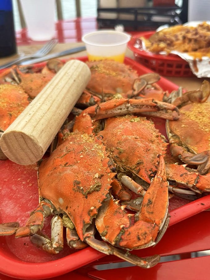 These steamed crabs aren't just dinner – they're an event. Dusted with Old Bay and served with wooden mallets for the full Maryland-meets-Virginia experience.
