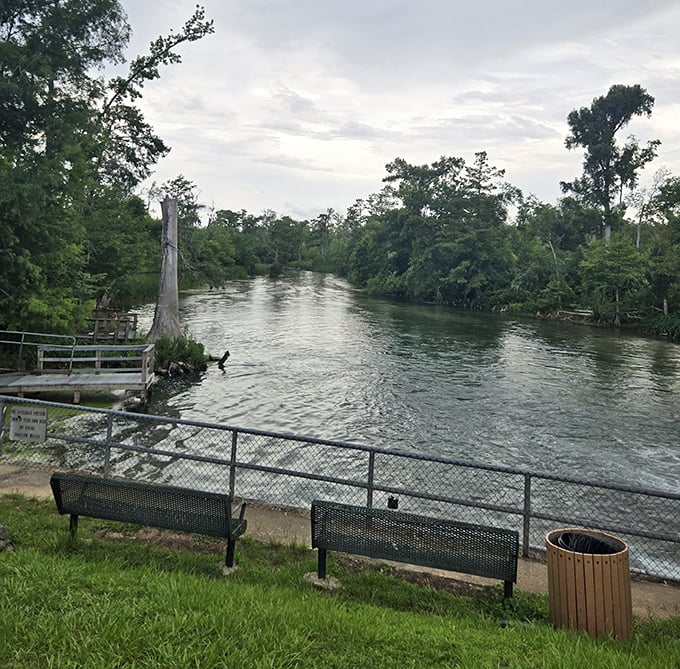 The serene waters of Spring Creek invite contemplation and maybe a fishing line or two—nature's version of Netflix and chill.