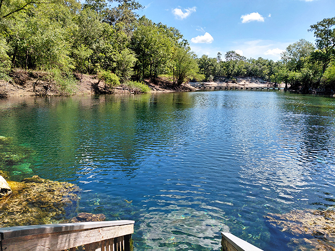 Mother Nature's swimming pool puts all human-made versions to shame. That impossible blue? It's not Photoshop – it's millions of years of limestone filtration.
