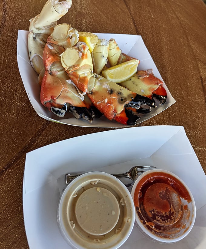 Stone crab claws arrive like nature's perfect appetizer—no fancy garnishes needed when the ocean delivers something this sweet and succulent.