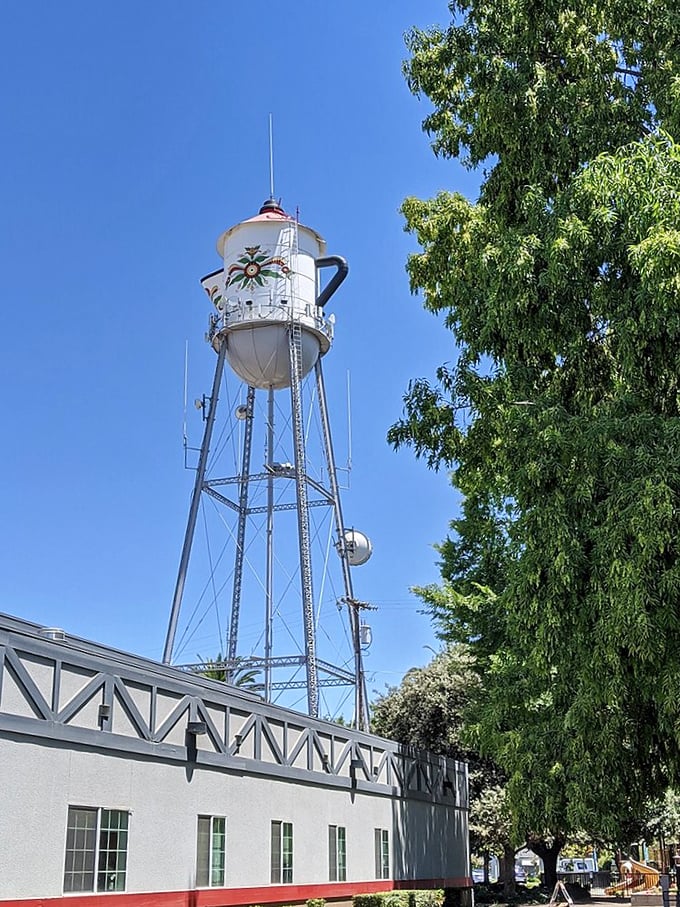 Not just any water tower – a giant Swedish coffee pot complete with handle and spout! Scandinavian whimsy meets practical infrastructure.