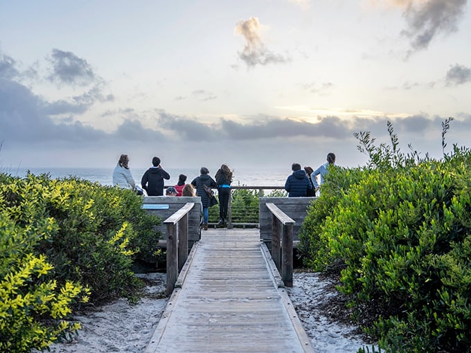 Sunset gatherings at Carmel Beach—where strangers become friends and everyone gets a front-row seat to nature's nightly masterpiece.