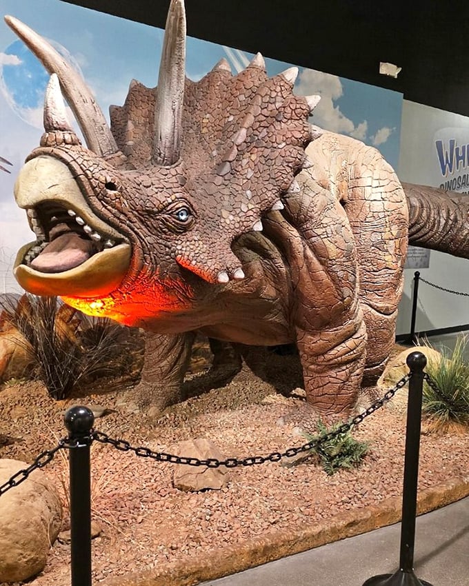 The triceratops stands guard, bathed in otherworldly red light. Three horns, one mission: to make you question everything you learned in science class.