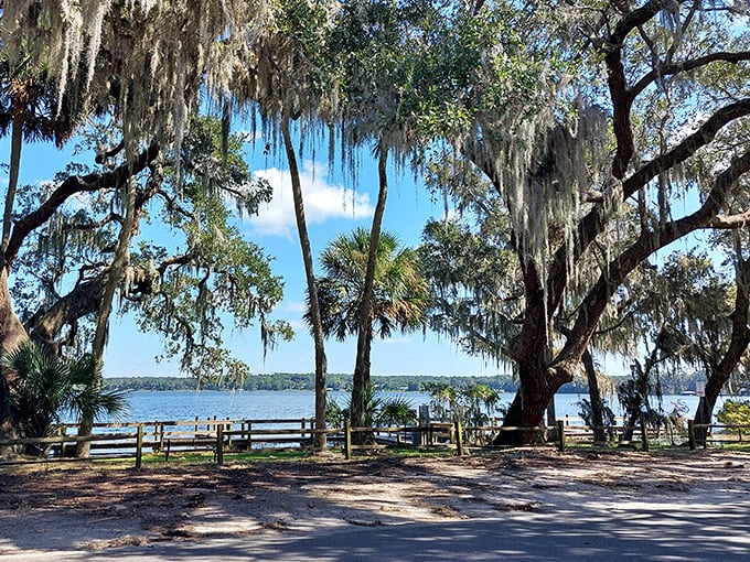Lake views framed by moss-draped oaks create postcard-worthy scenes that make you want to pull up an Adirondack chair and forget about your inbox.