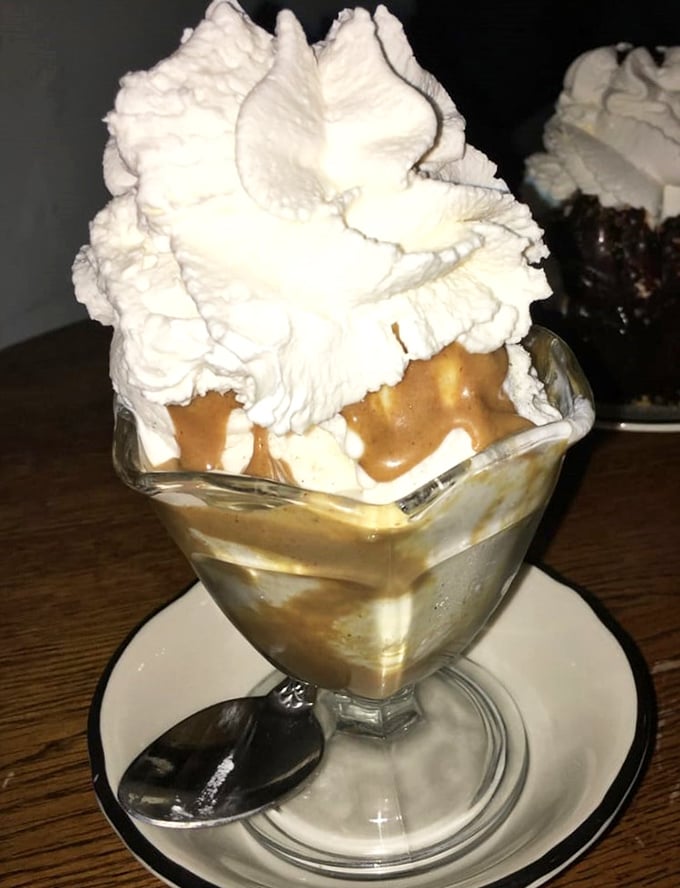 Behold the vanilla bean masterpiece – those black specks are doing the Lord's work in frozen form.