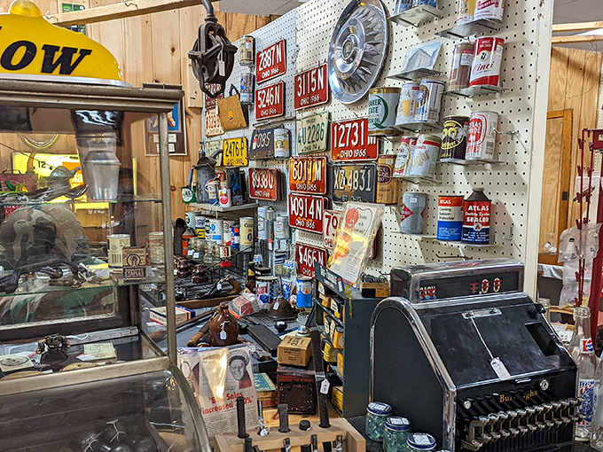 License plates that outlived the cars they adorned—a metallic tapestry of American road trips and family vacations spanning decades.