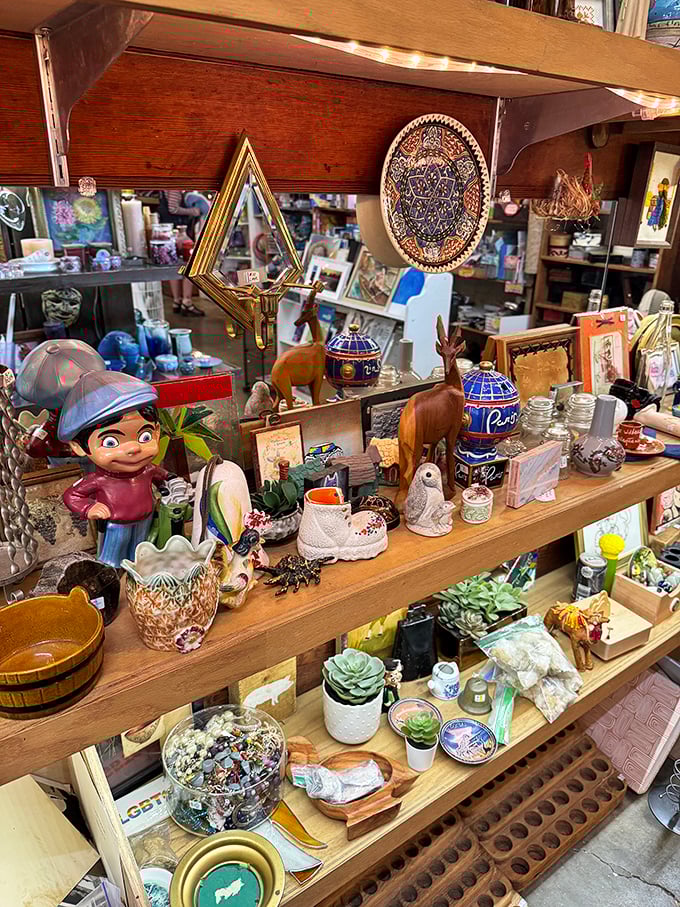 Every shelf tells a story – ceramic figurines, wooden animals, and potted succulents creating a museum of everyday whimsy.