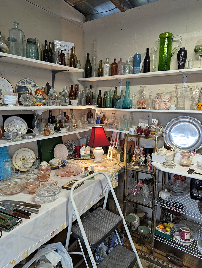 Glass menagerie meets treasure trove. Vintage bottles and Depression glass catch the light like liquid history, each piece with stories we can only imagine.