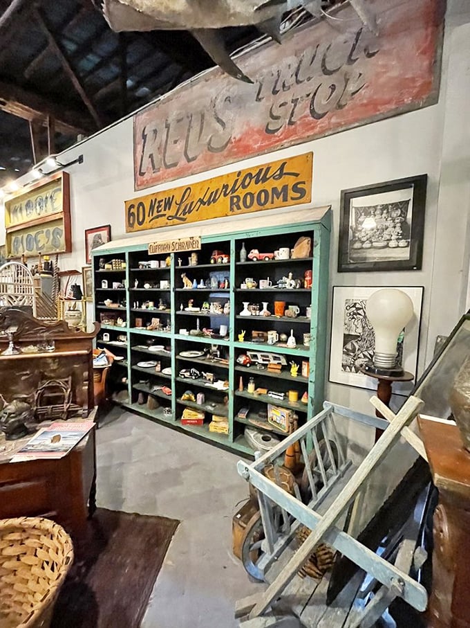 Vintage signs from Florida's past hang above meticulously organized shelves of curiosities—each cubby a miniature museum.