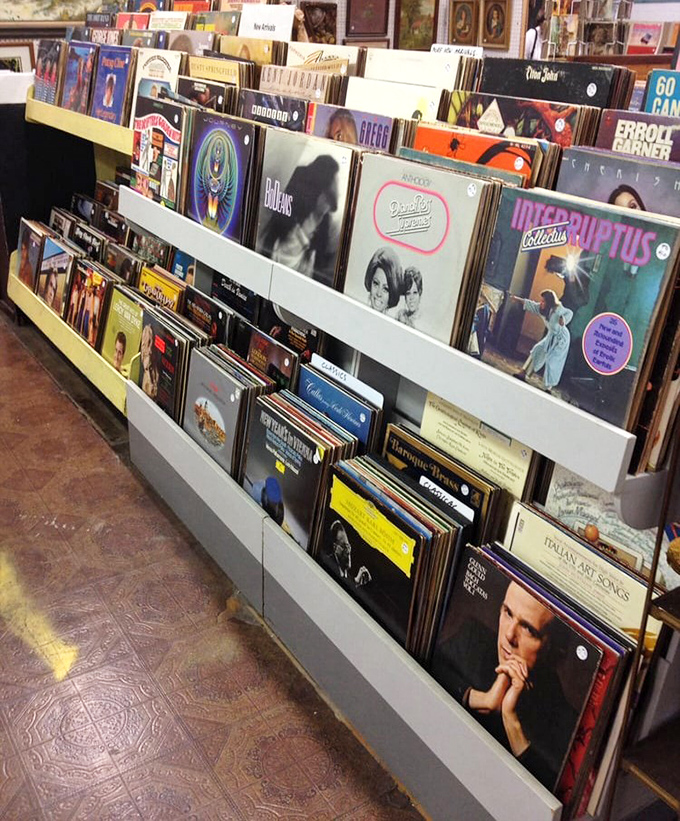 Vinyl heaven awaits music lovers! Each record sleeve tells a story—sometimes about the music, sometimes about its previous owner's questionable taste.