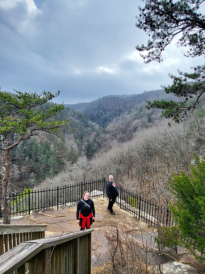 Winter reveals the canyon's bones. The bare trees create a dramatic frame for hikers exploring the overlook's edge.