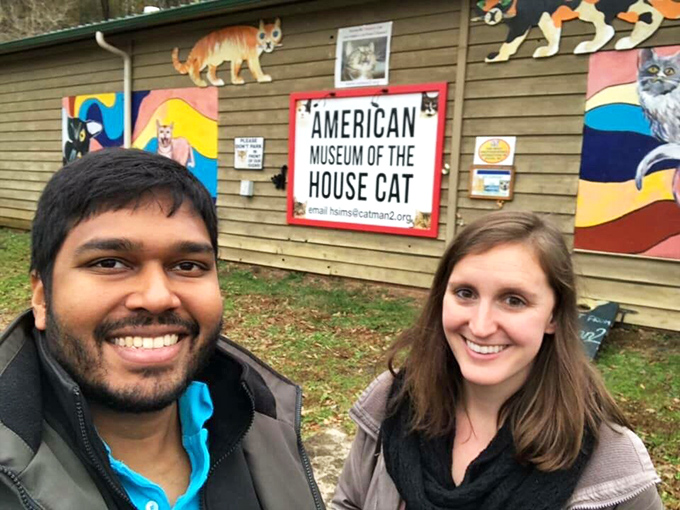Visitors from near and far make the pilgrimage to this feline shrine, proving that cat appreciation knows no geographical boundaries.