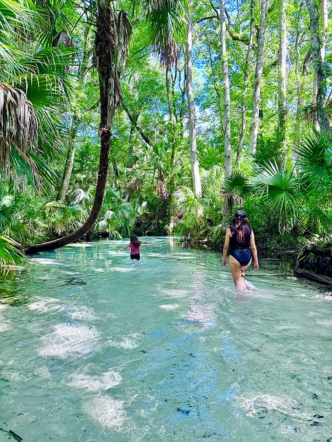Paradise found: visitors wading through crystal waters beneath a cathedral of palms. Beats scrolling through vacation photos on your couch!