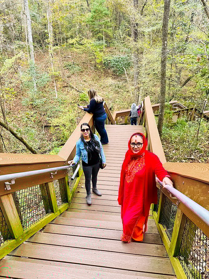 The boardwalk offers perfect vantage points for contemplation. Here, visitors pause to absorb the surreal beauty that feels more Jurassic than Floridian.