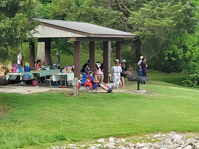 Family gatherings under rustic pavilions – where memories are made and at least one relative inevitably burns the hot dogs.