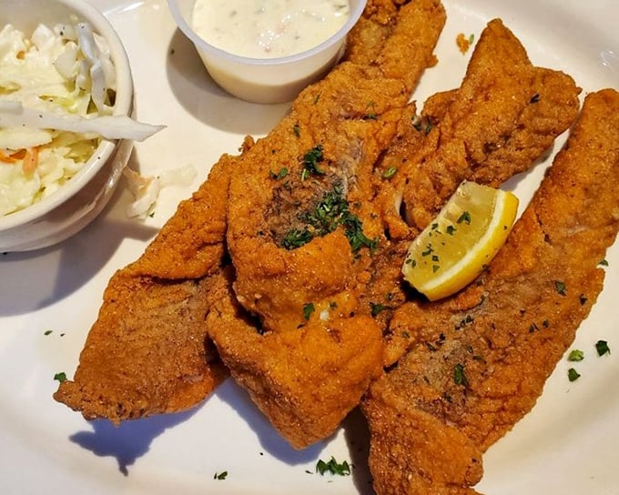 Golden-fried perfection that's worth the drive—the walleye arrives with a crispy exterior giving way to flaky, tender fish that might just ruin all other seafood for you.