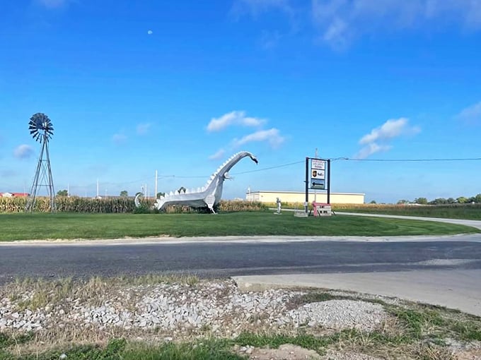 From a distance, the dragon creates a surreal silhouette against farmland and sky—Midwest magic hiding in plain sight.