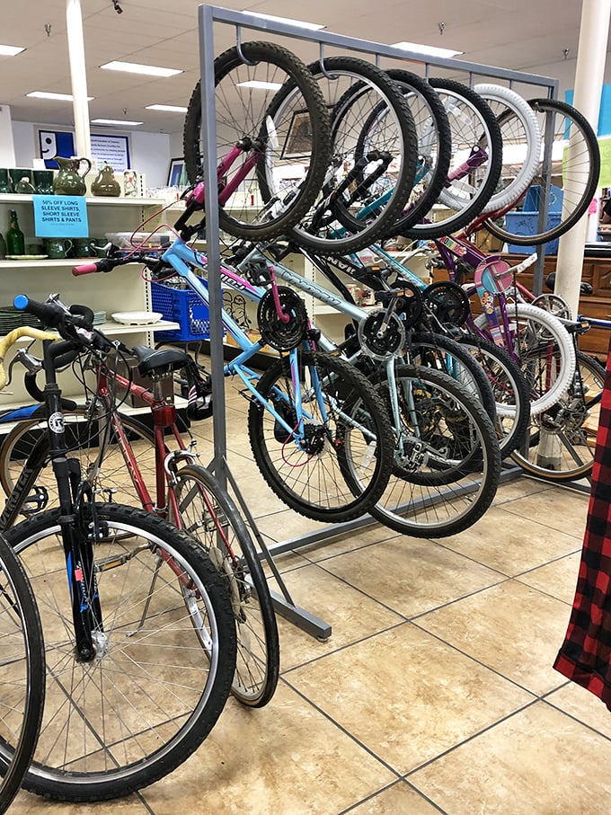 The bicycle section: where two-wheeled adventures get their second wind. Beach cruisers and mountain bikes waiting for new paths to explore.