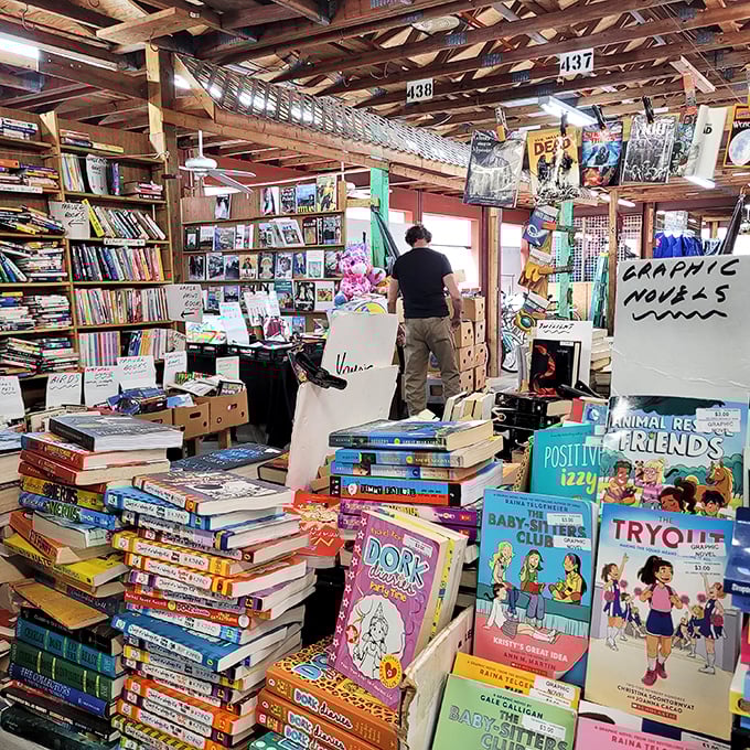 Literary heaven for the patient explorer—stacks upon stacks of stories waiting for their next chapter in someone else's hands.