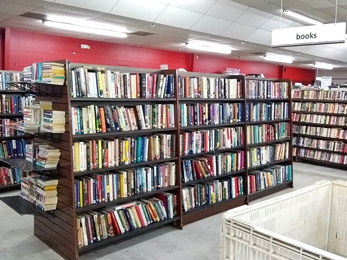 Bibliophiles beware—you might need to cancel your plans for the day once you discover this literary labyrinth.