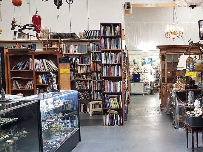 Bibliophiles beware: you might need to call in late to work tomorrow. These shelves hold literary treasures that Amazon's algorithm could never suggest.