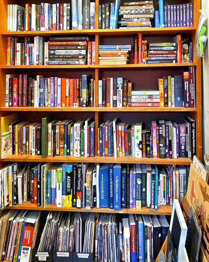 A bibliophile's dream hiding between weathered spines. Each book on these packed shelves carries stories within stories—both printed and lived.