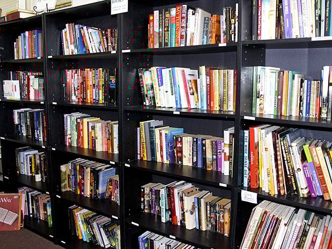 Bibliophiles beware—you might enter for a quick browse and emerge hours later with armfuls of literary treasures and zero regrets.